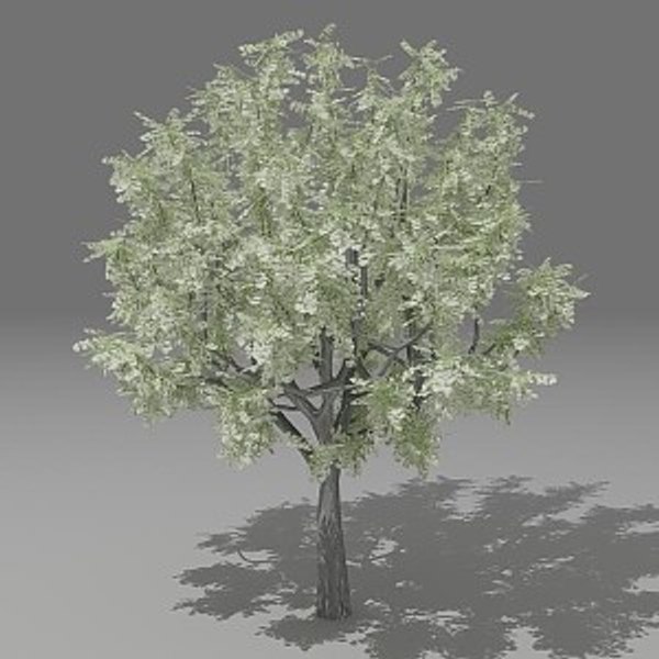 3d model tree