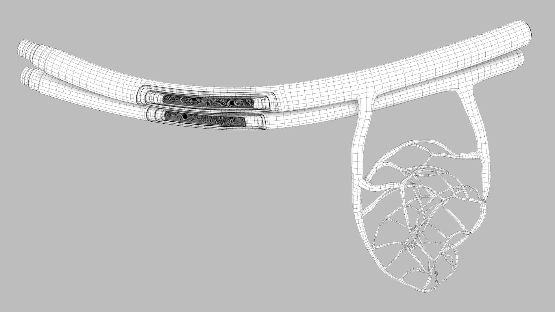 Artery and Vein Structure 3D model - TurboSquid 1901627