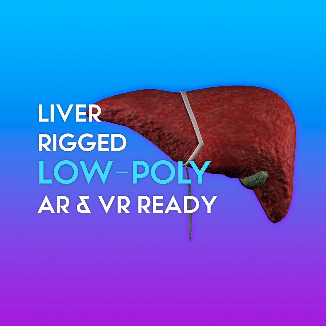 3D Liver Ready Vr Ar Model - TurboSquid 1257086