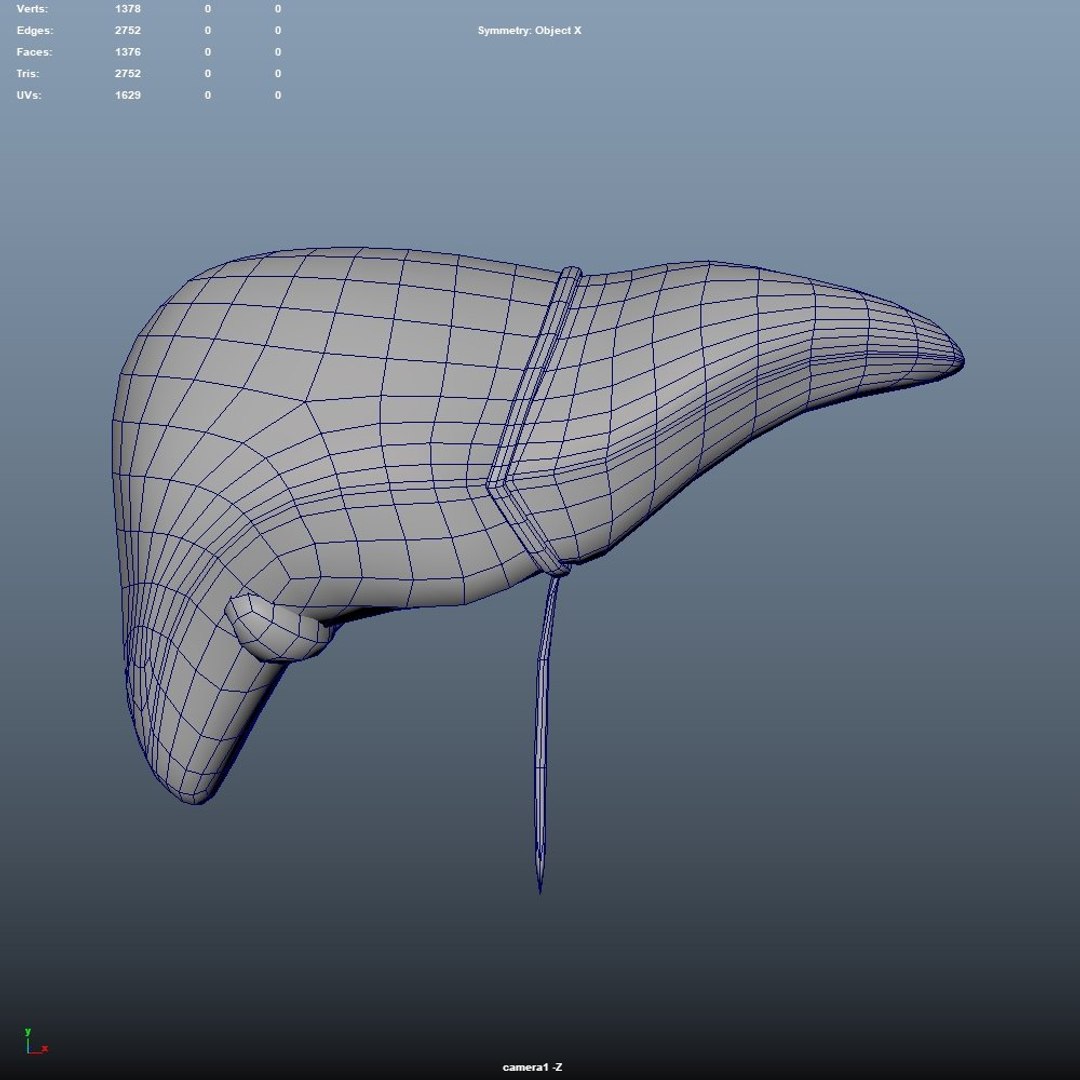 3D Liver Ready Vr Ar Model - TurboSquid 1257086