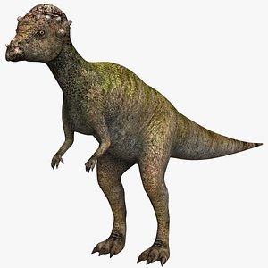 Pachycephalosaurus 3D Models for Download | TurboSquid