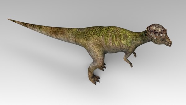 3d pachycephalosaurus dinosaurs lizard