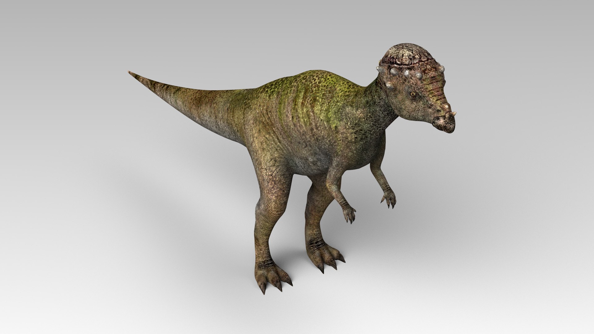 3d Pachycephalosaurus Dinosaurs Lizard