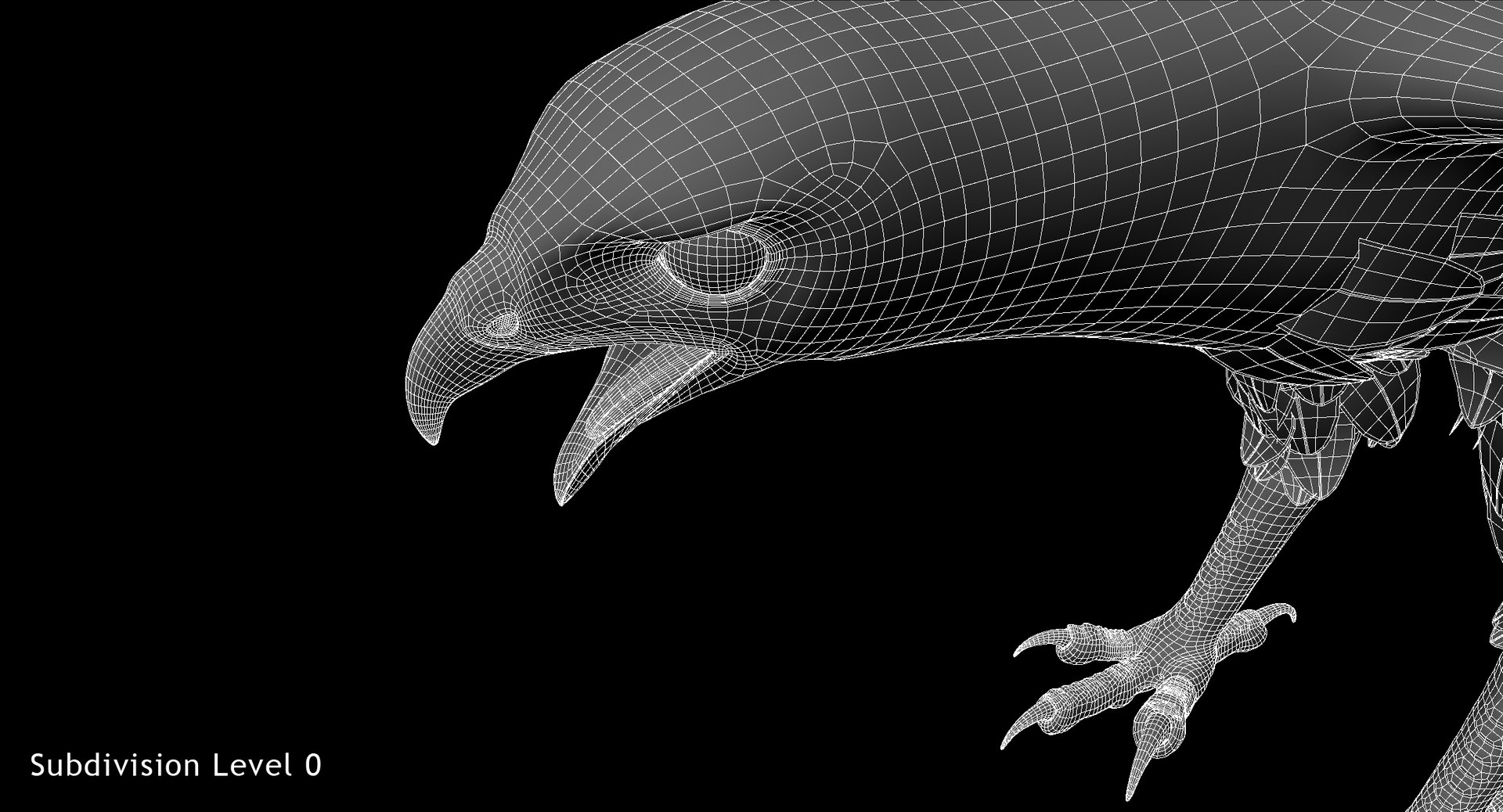 3D Model Rigged Red-tailed Hawk Tail - TurboSquid 1216250