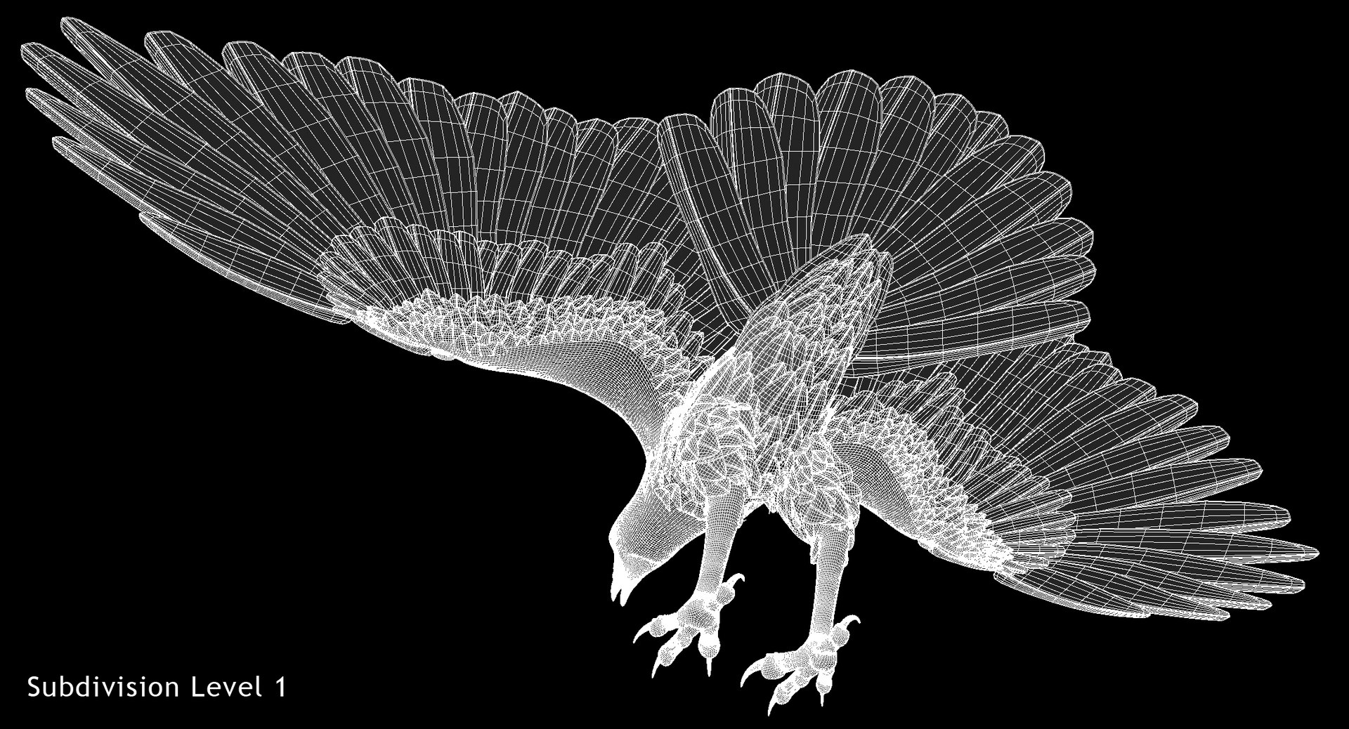 3D Model Rigged Red-tailed Hawk Tail - TurboSquid 1216250