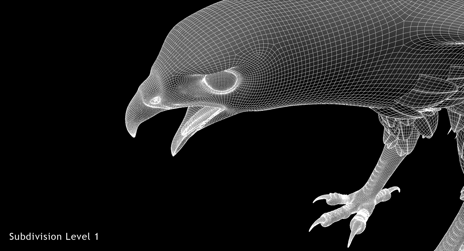 3D Model Rigged Red-tailed Hawk Tail - TurboSquid 1216250
