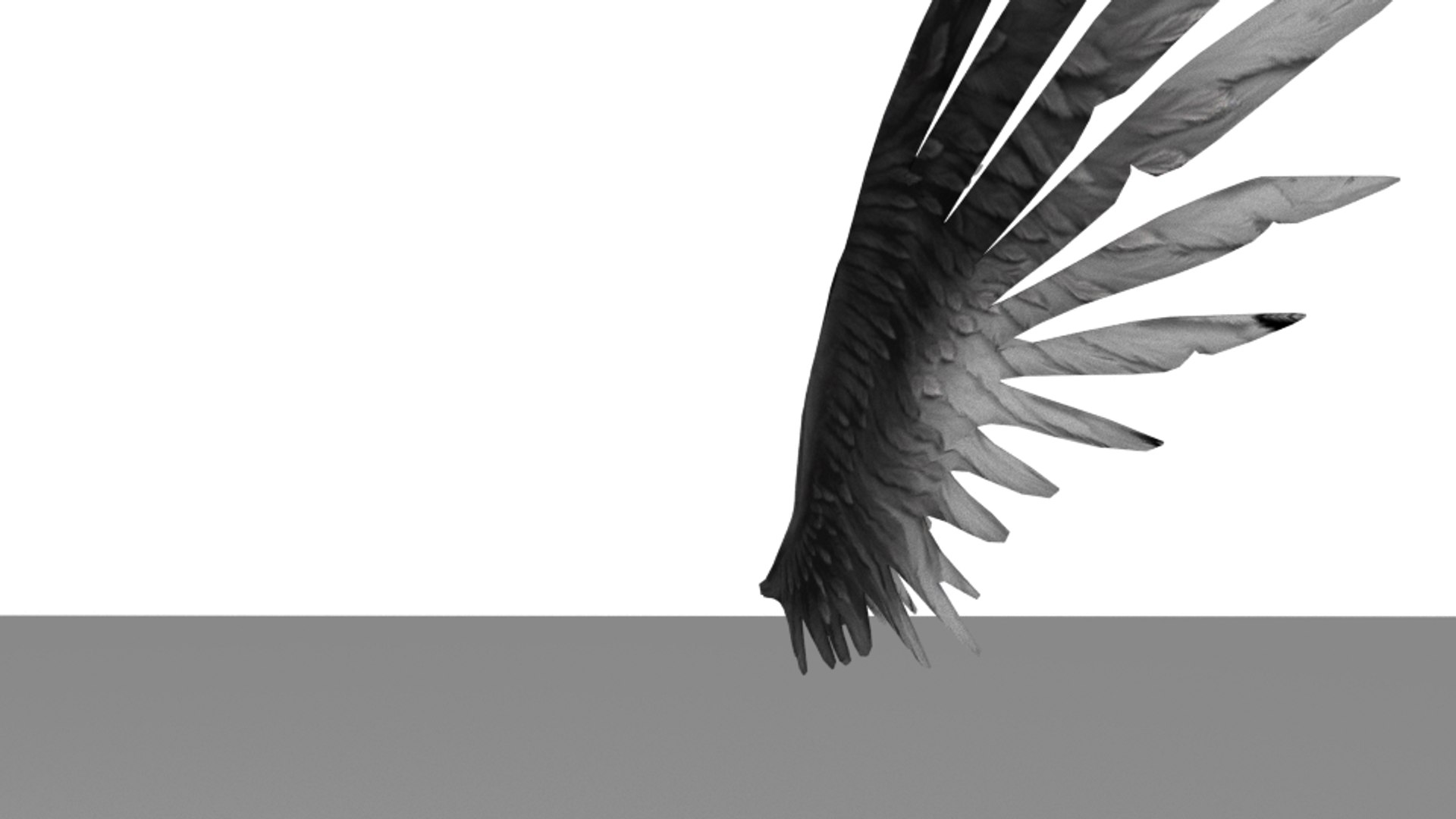 3d Walkyrie Wing