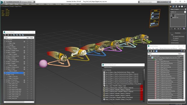 Frog Life Cycle Stages Rigged 3D model - TurboSquid 1714310