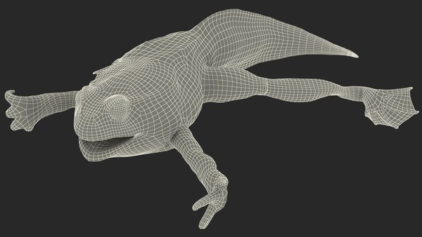 Frog Life Cycle Stages Rigged 3D model - TurboSquid 1714310