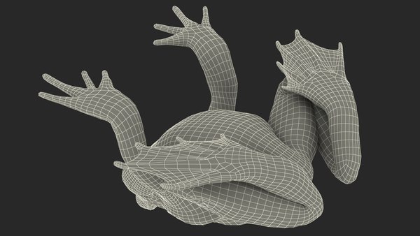 Frog Life Cycle Stages Rigged 3D model - TurboSquid 1714310