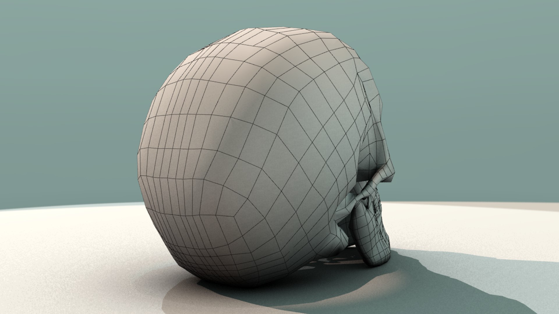 skull 3d model