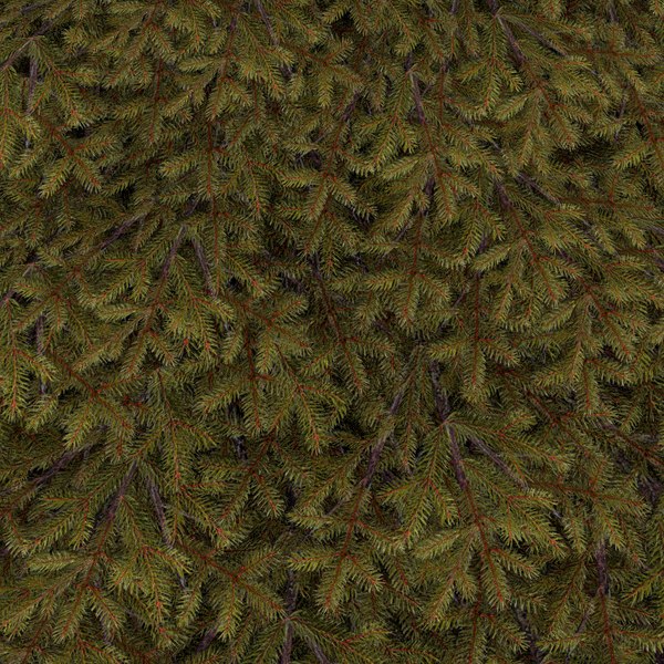 realistic fir tree 3 3ds