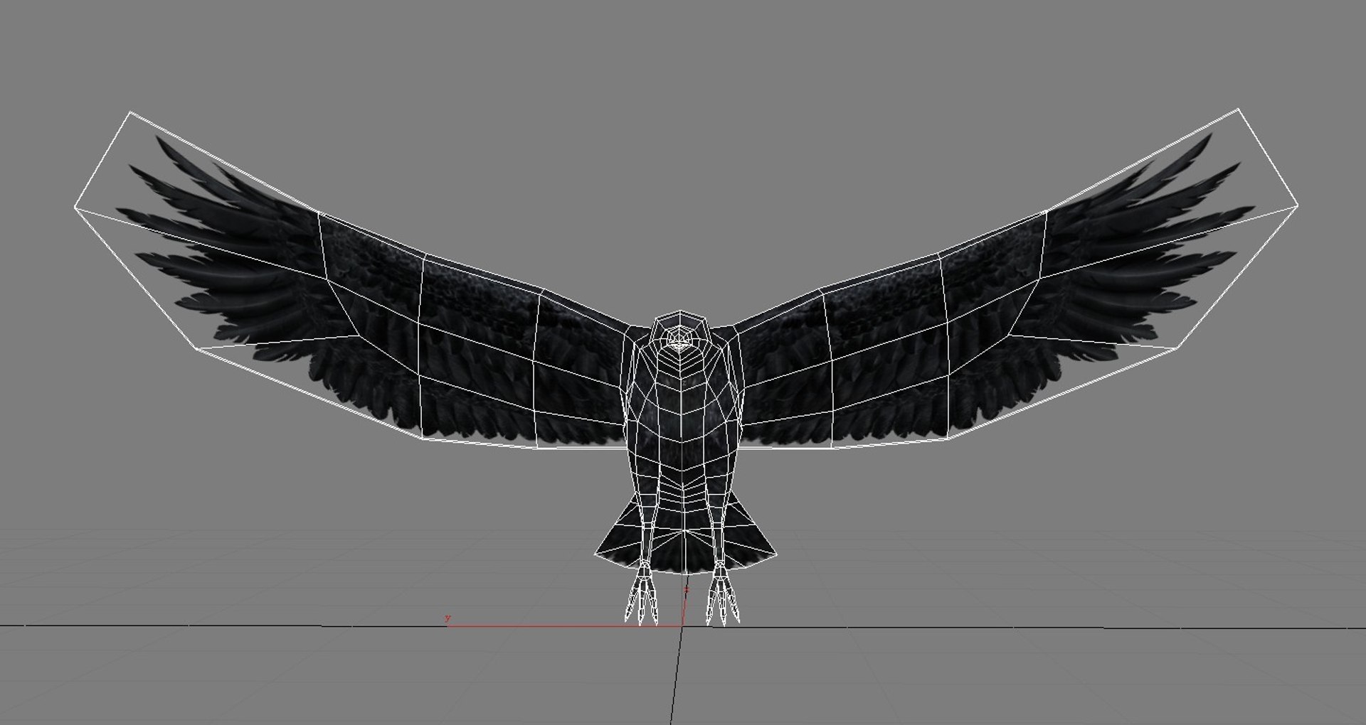 3d Crow Model