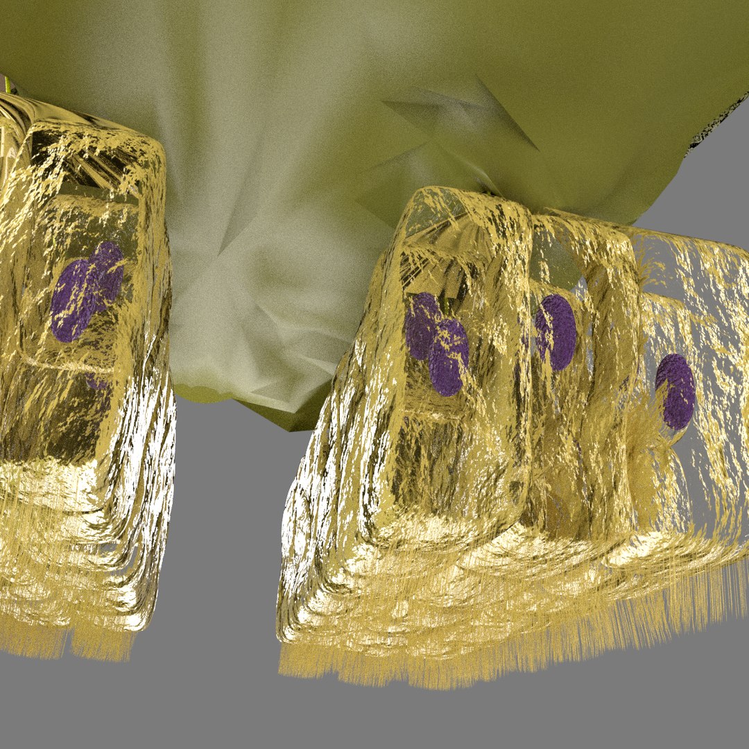 Olfactory labelled 3D model - TurboSquid 1586868