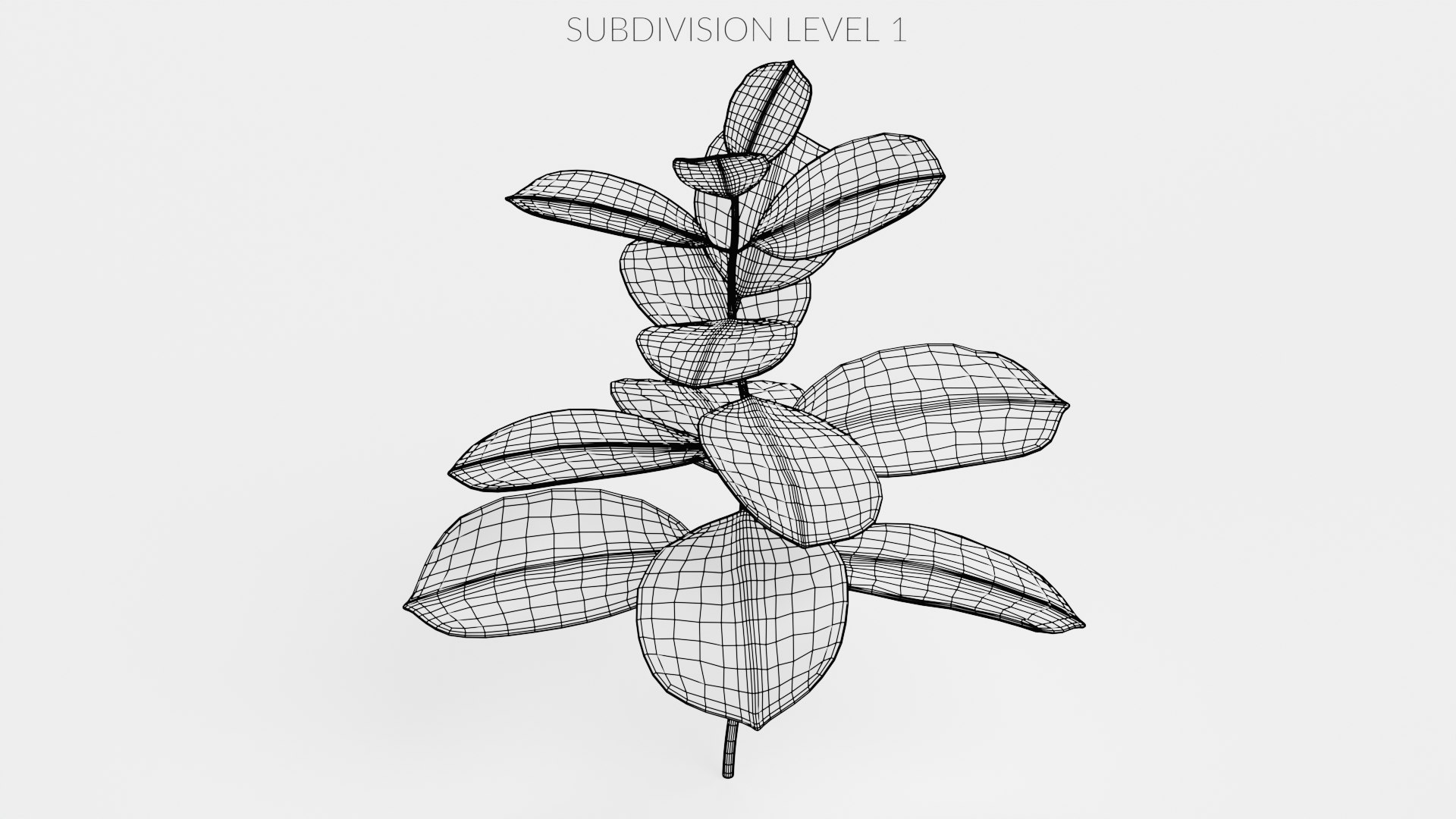 3D Arabica Coffee Plant - TurboSquid 1936836