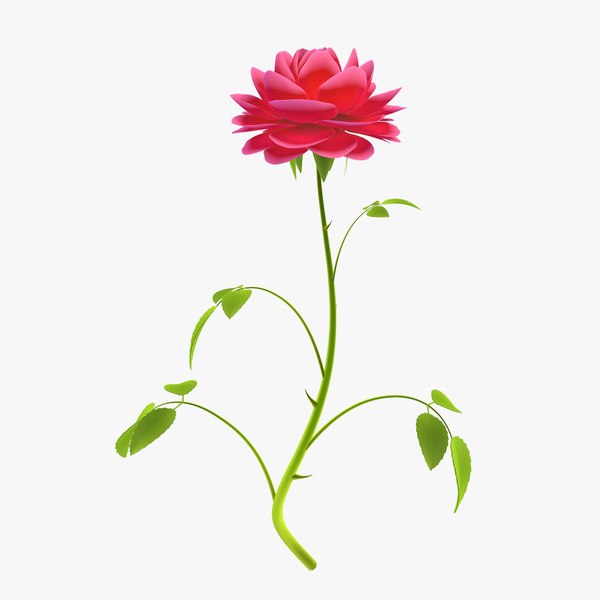 modelo 3d Rosa animada - TurboSquid 1378191