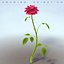 Rose Growing 3D - TurboSquid 1378191