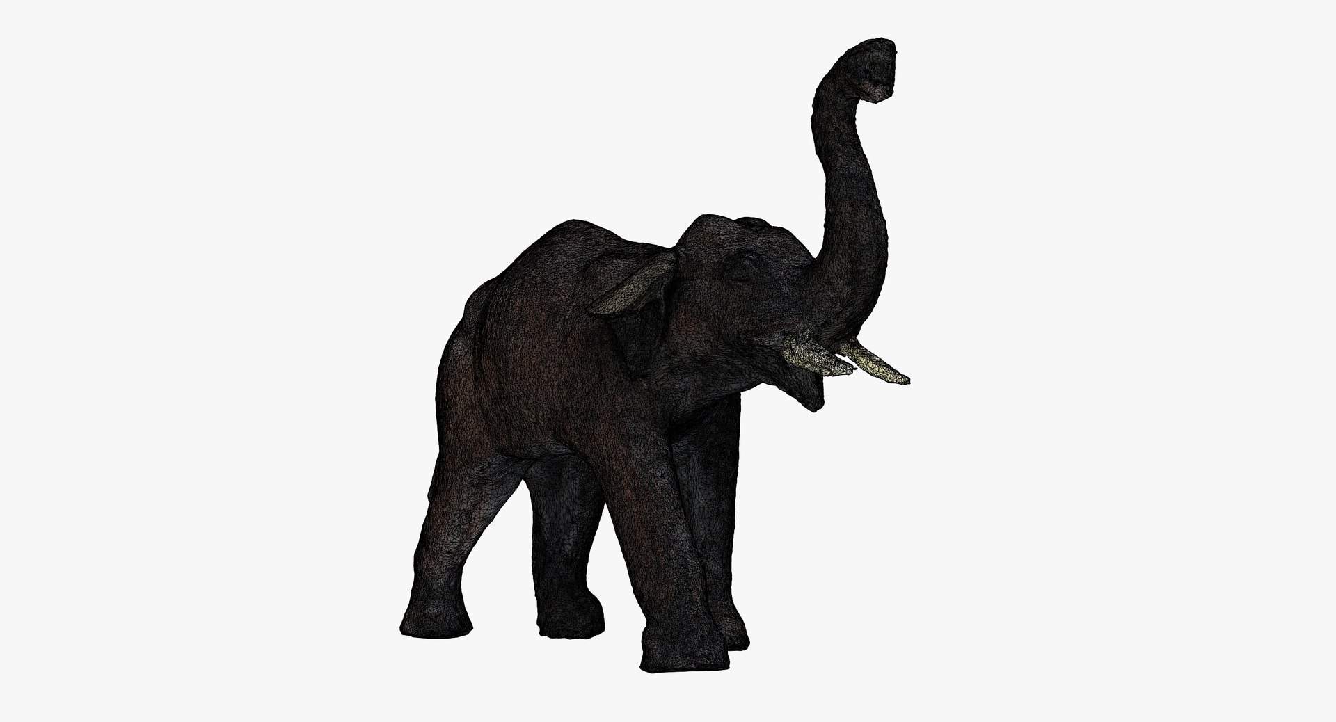 elephant scan 3ds