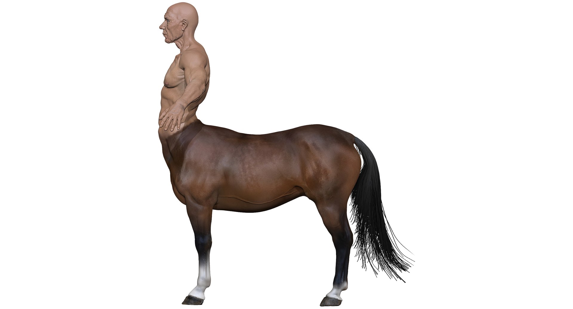 3D Centaur Ornatrix Hair Model - TurboSquid 1288439