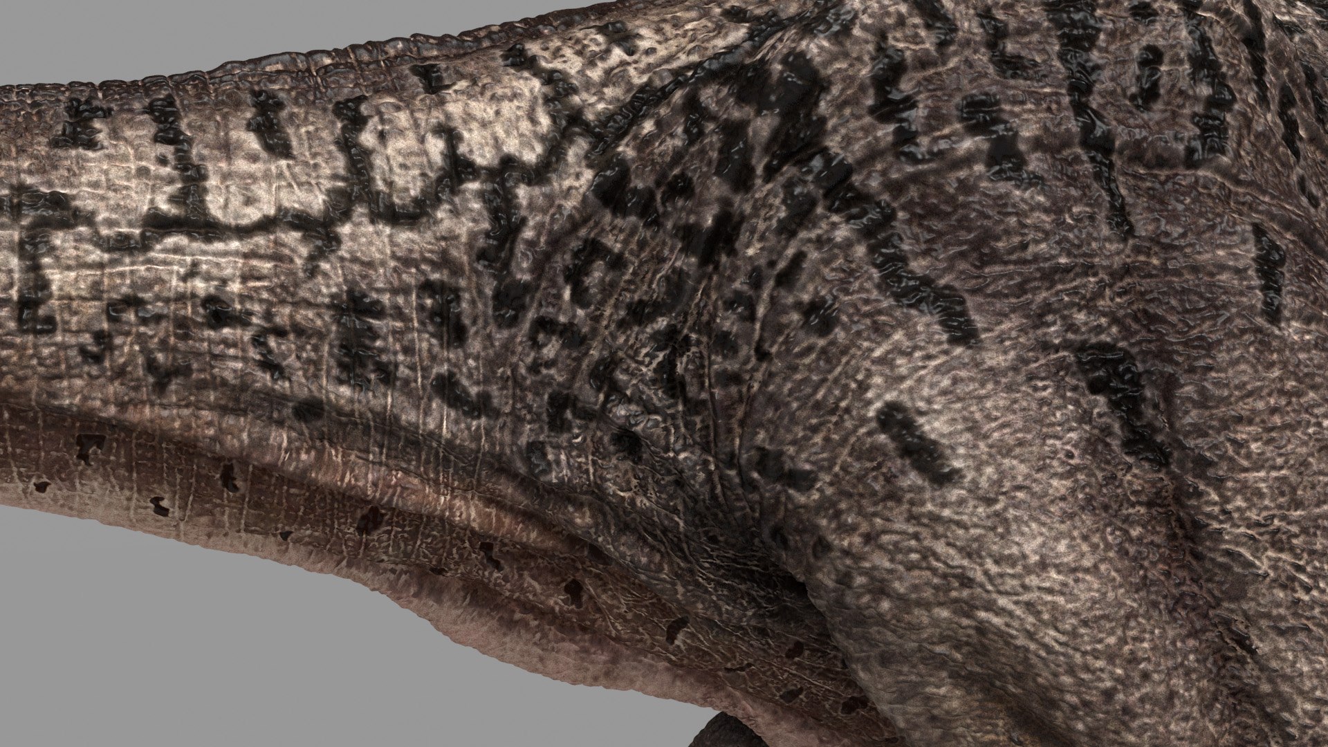 3D Allosaurus - TurboSquid 1209471