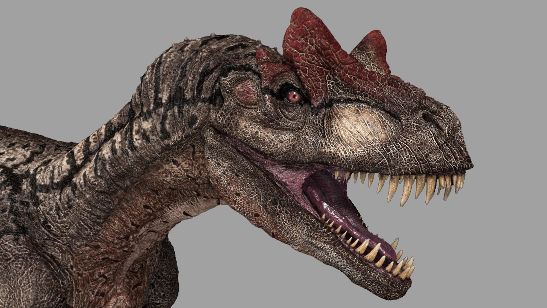 Allosaurus