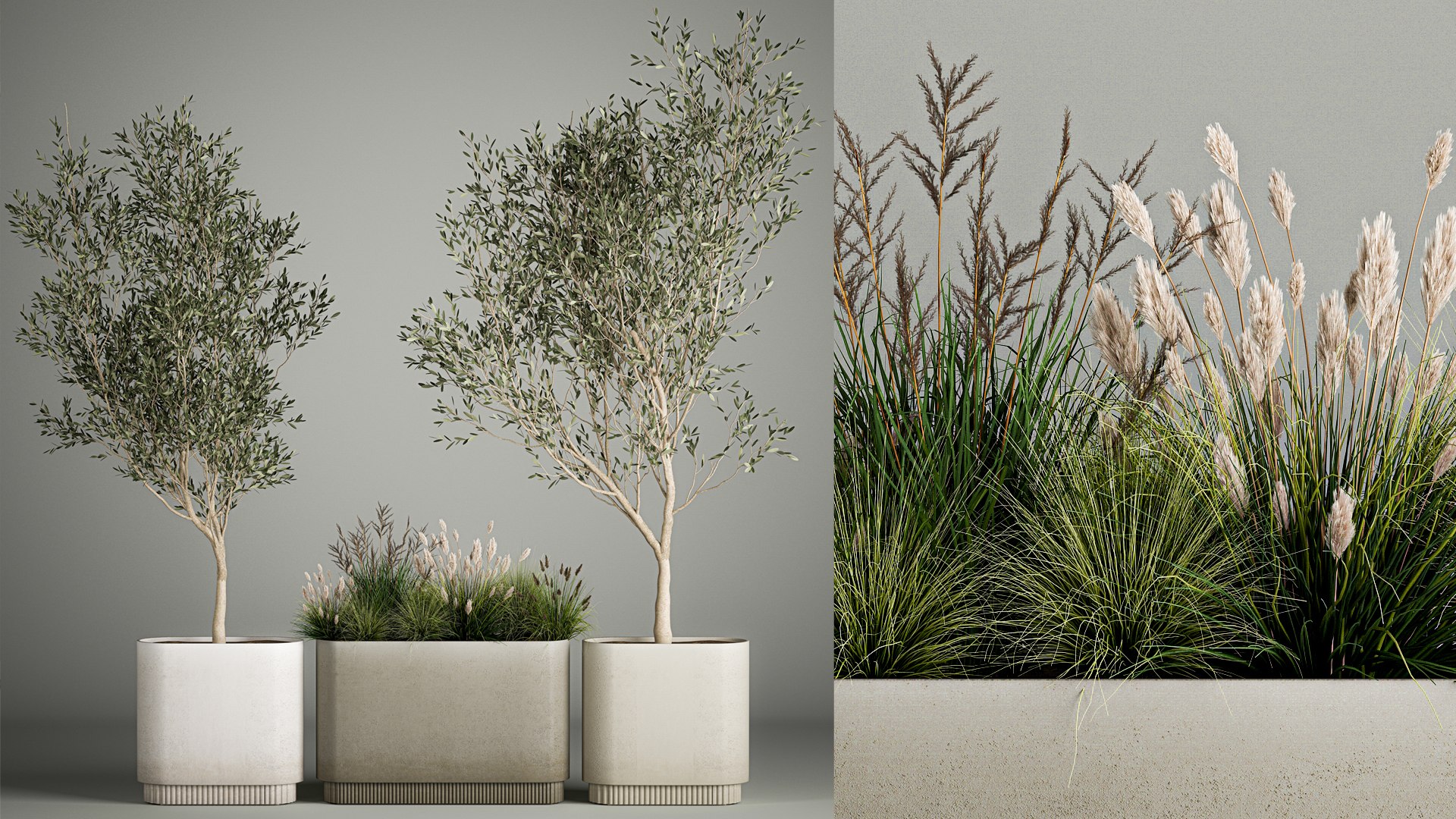 Decorative Trees In Concrete Pots With Bushes 3D - TurboSquid 1962054