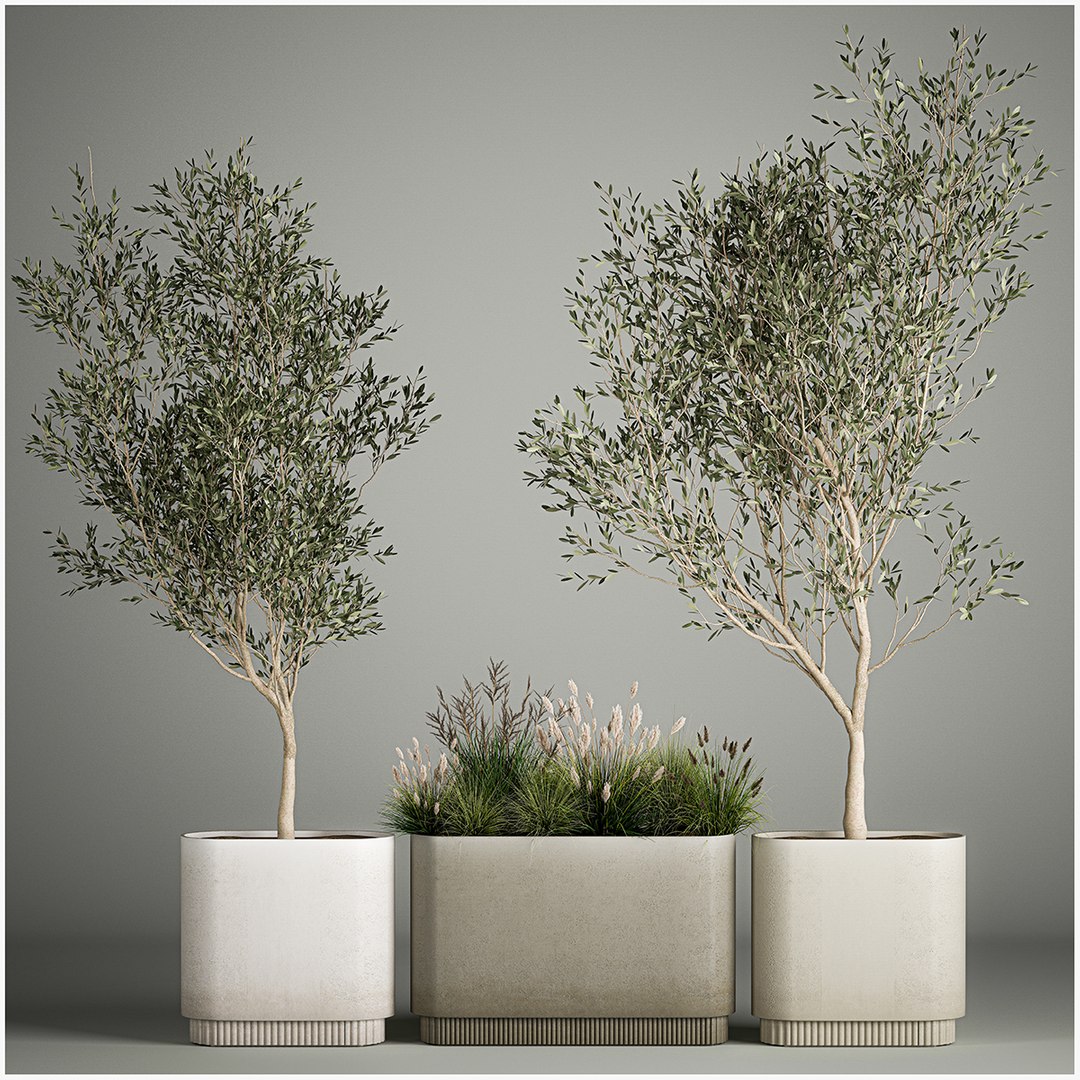 Decorative Trees In Concrete Pots With Bushes 3D - TurboSquid 1962054