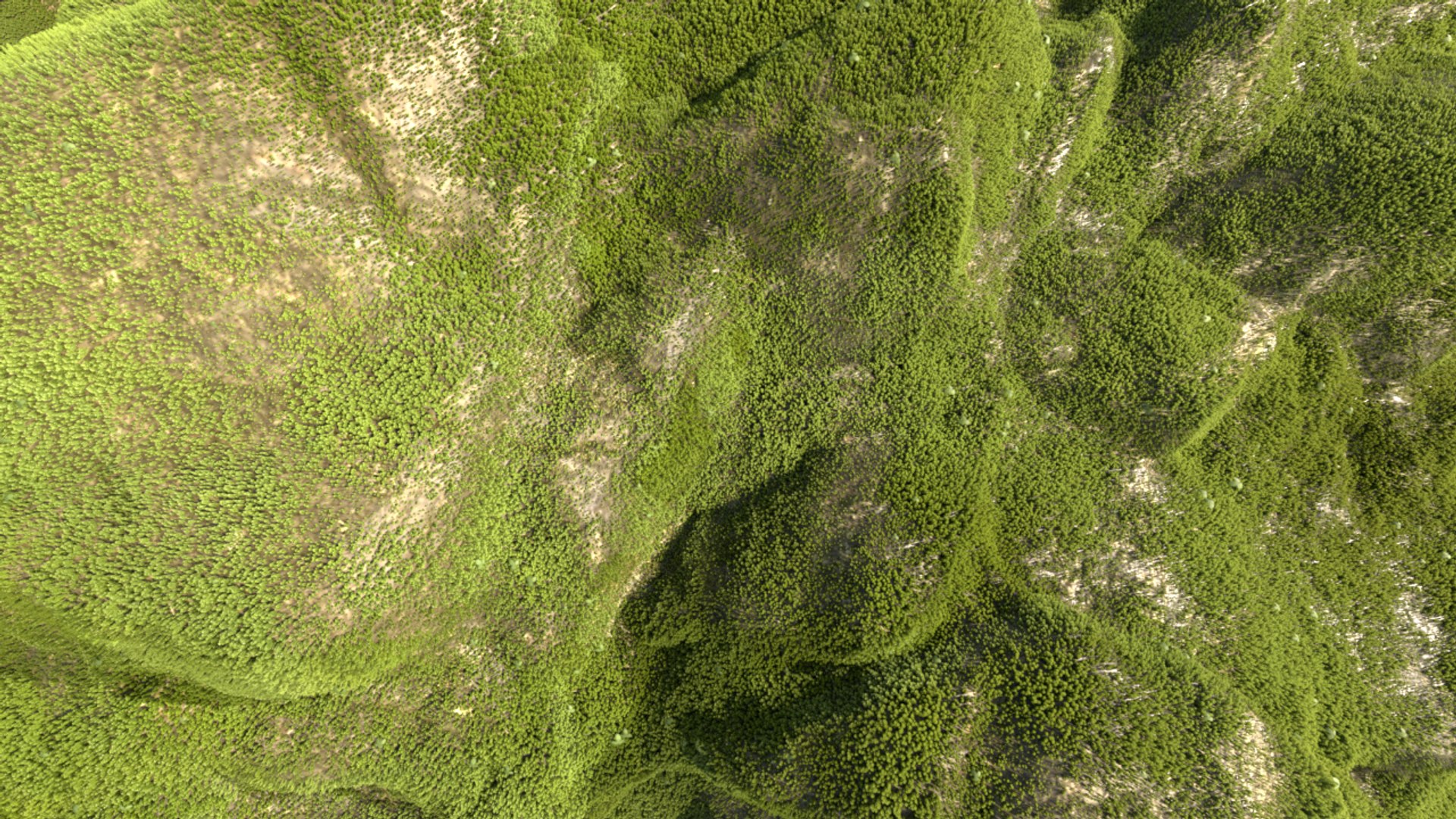 Moss 3D - TurboSquid 1919460