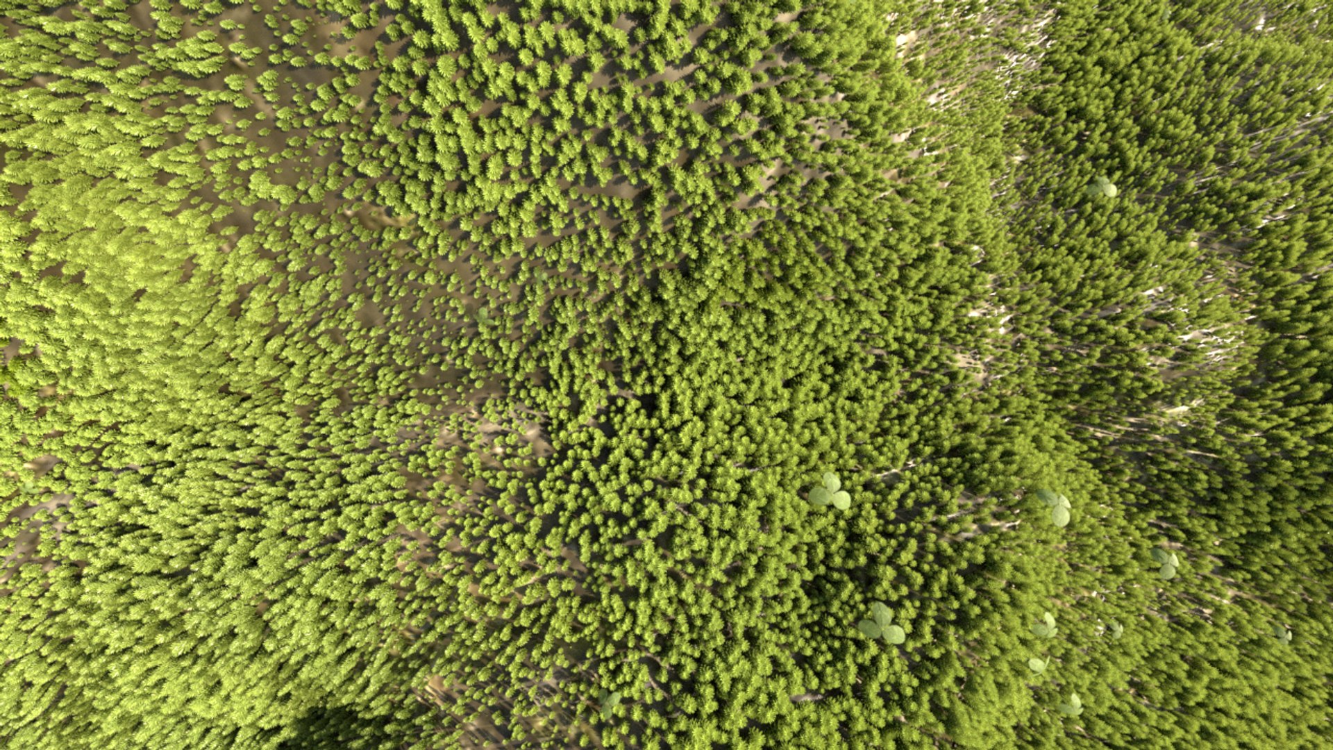 Moss 3D - TurboSquid 1919460