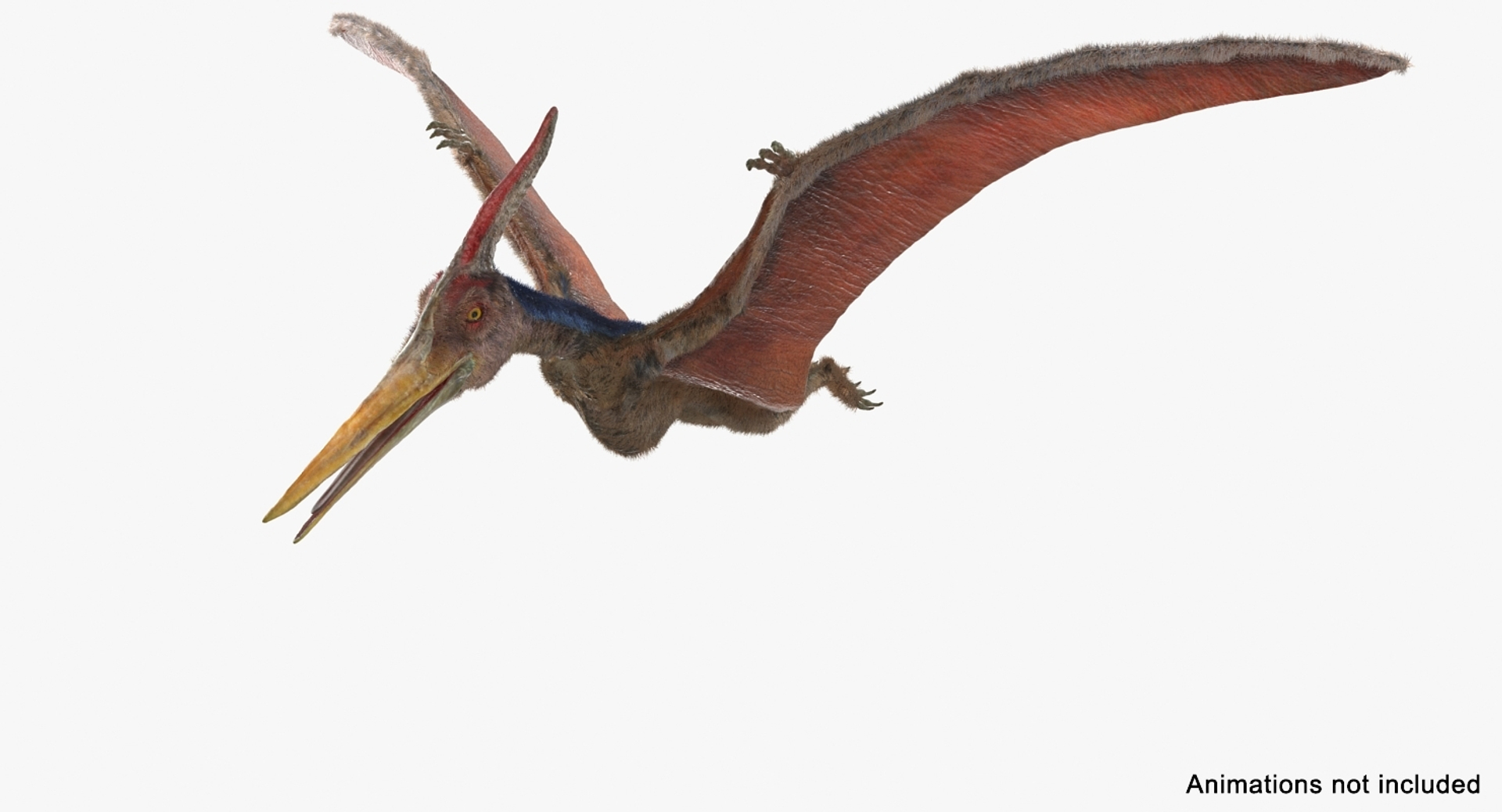 3D Model Pteranodon Rigged Fur - TurboSquid 1414100