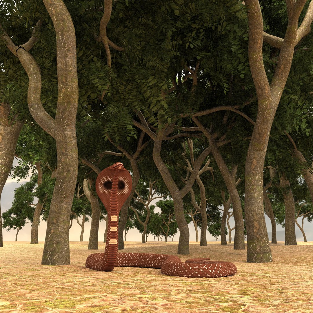 Spectacled Cobra 3D - TurboSquid 1795241