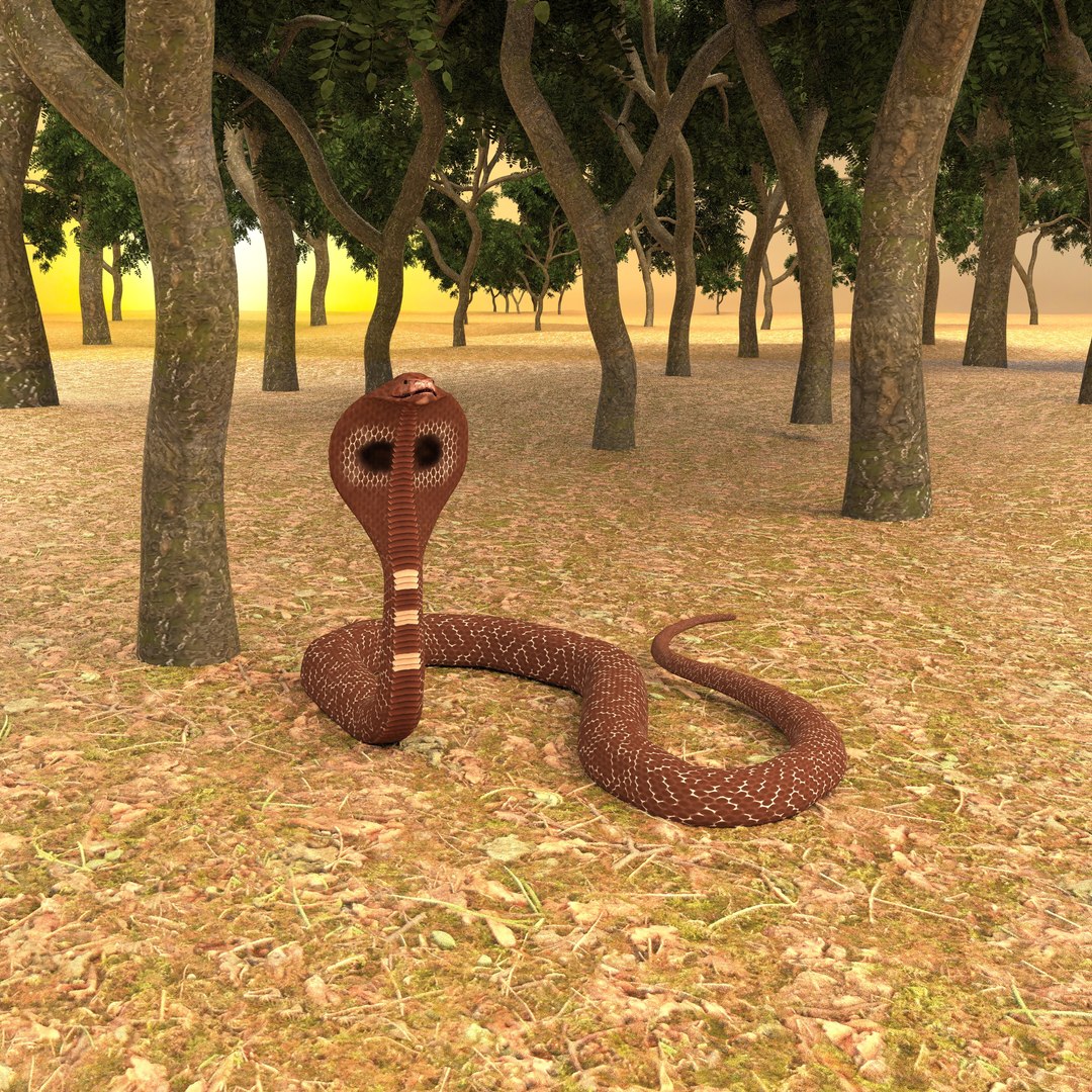 Spectacled Cobra 3D - TurboSquid 1795241