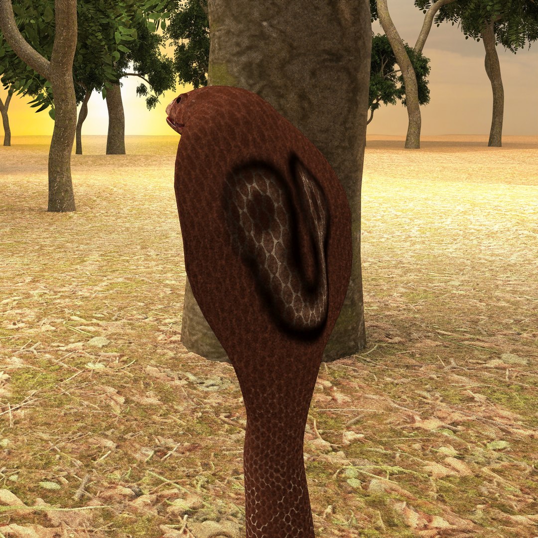 Spectacled Cobra 3D - TurboSquid 1795241