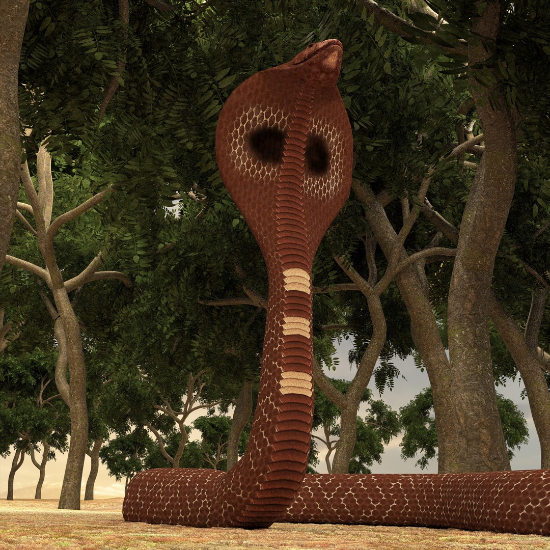 Spectacled Cobra 3D - TurboSquid 1795241