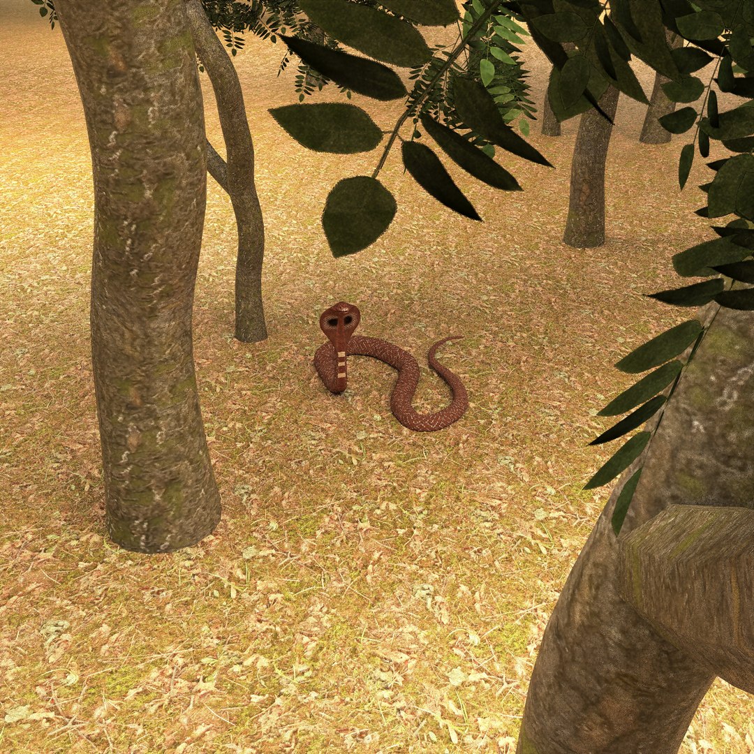 Spectacled Cobra 3D - TurboSquid 1795241