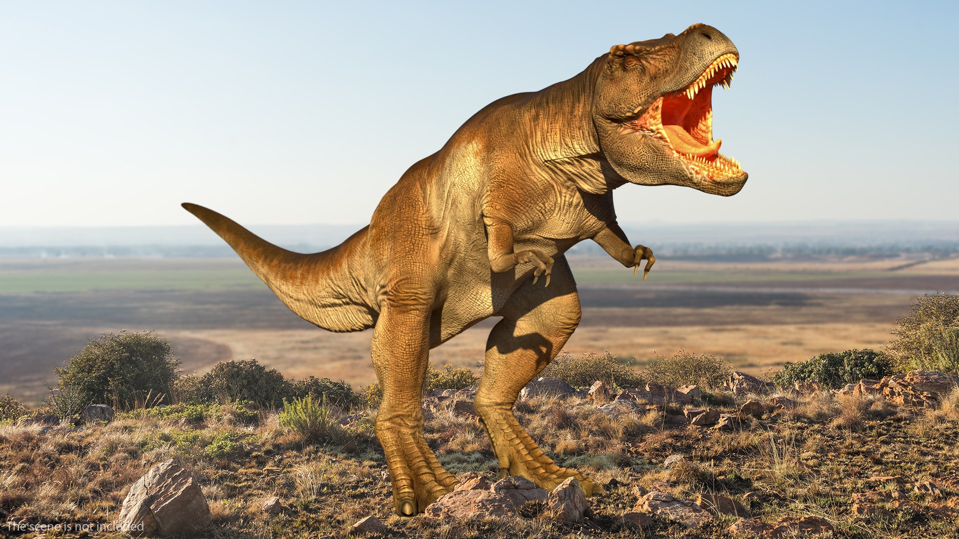 Tyrannosaurus Rex Roaring Animal Model - TurboSquid 1566258