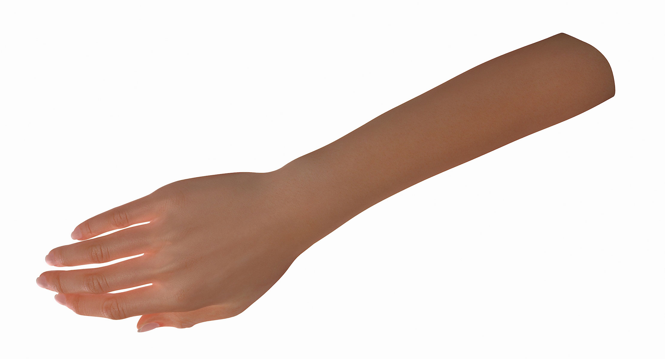 Female arm pose b model - TurboSquid 1198681