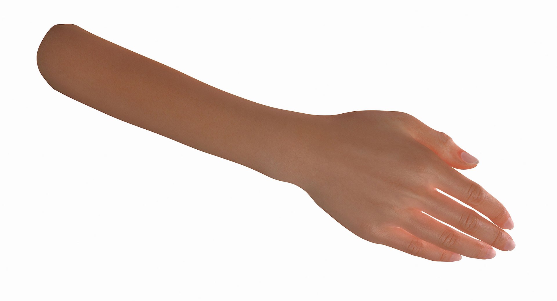 Female Arm Pose B Model - TurboSquid 1198681