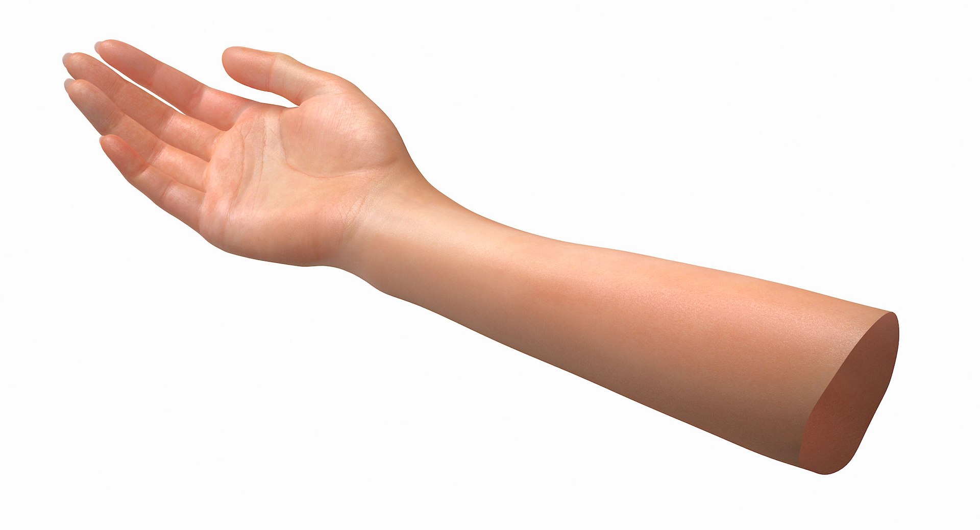 Female Arm Pose B Model - TurboSquid 1198681