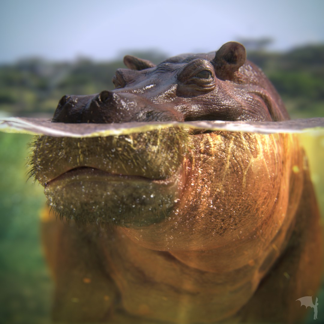 Hipopótamo Modelo 3D - TurboSquid 1635600