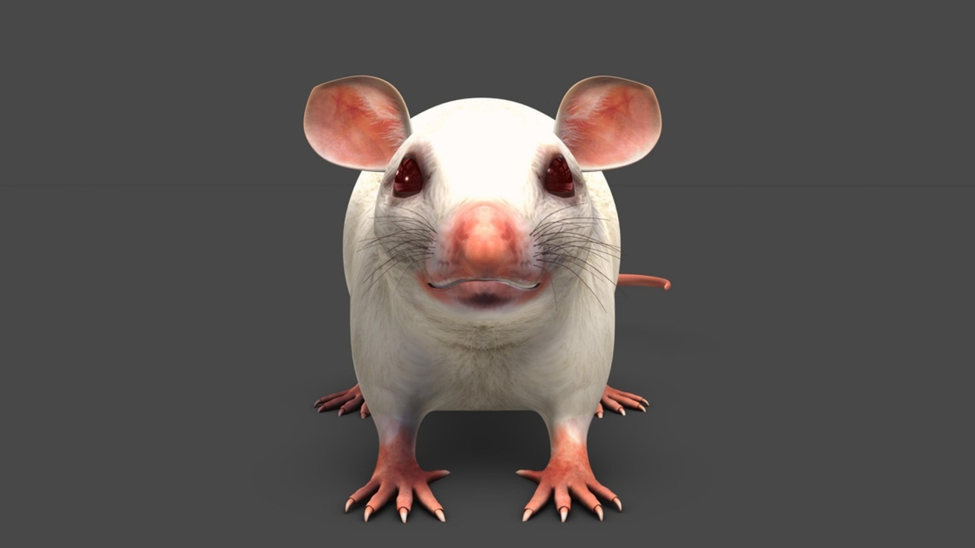 3D rodents mice - TurboSquid 1263007