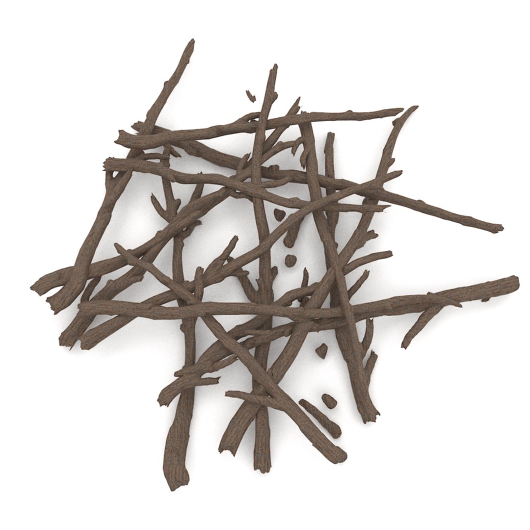 Twigs 2 3d Model