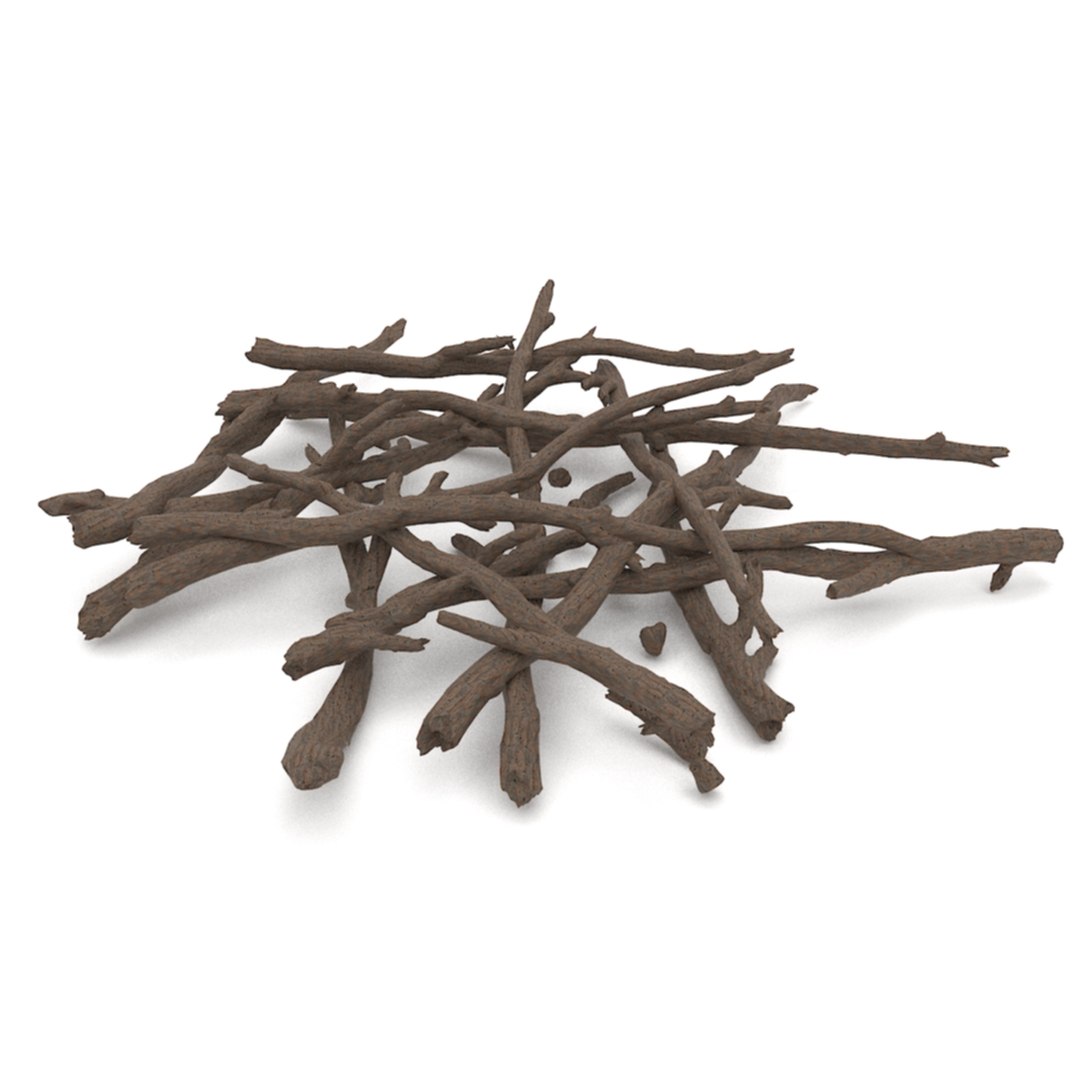 Twigs 2 3d Model