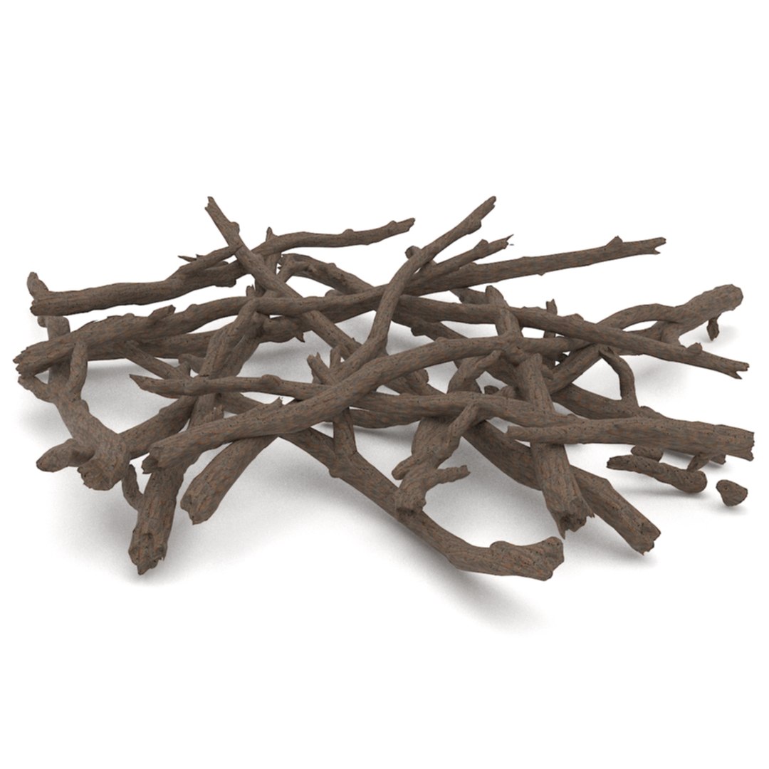 Twigs 2 3d Model