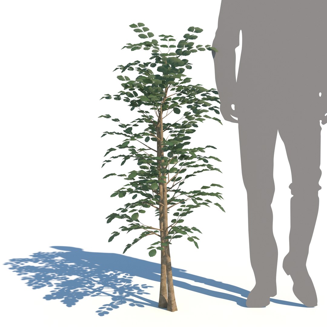 3D Toneriko 1200 A - TurboSquid 1825247