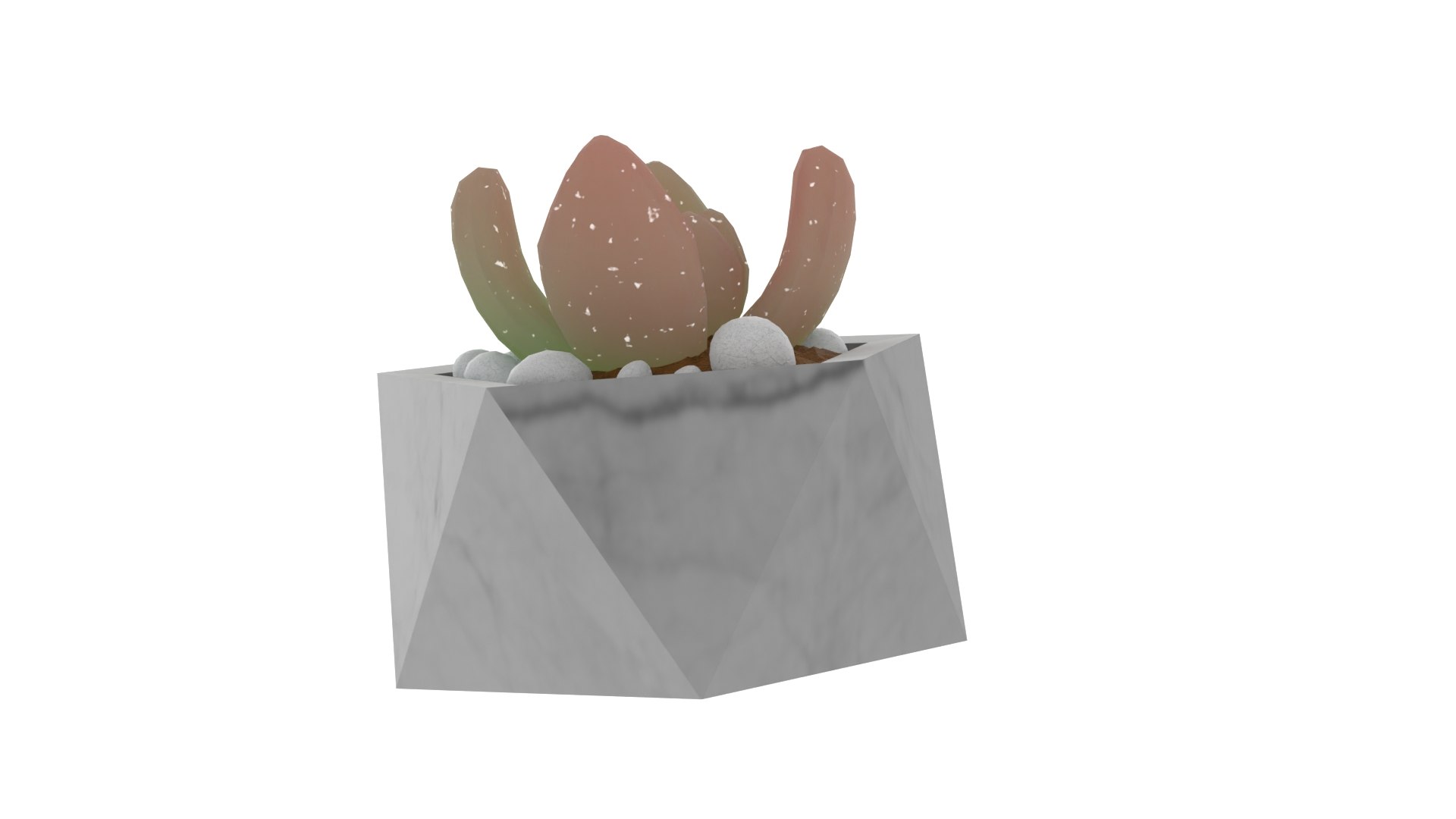 3D Model Succulent - TurboSquid 1966887