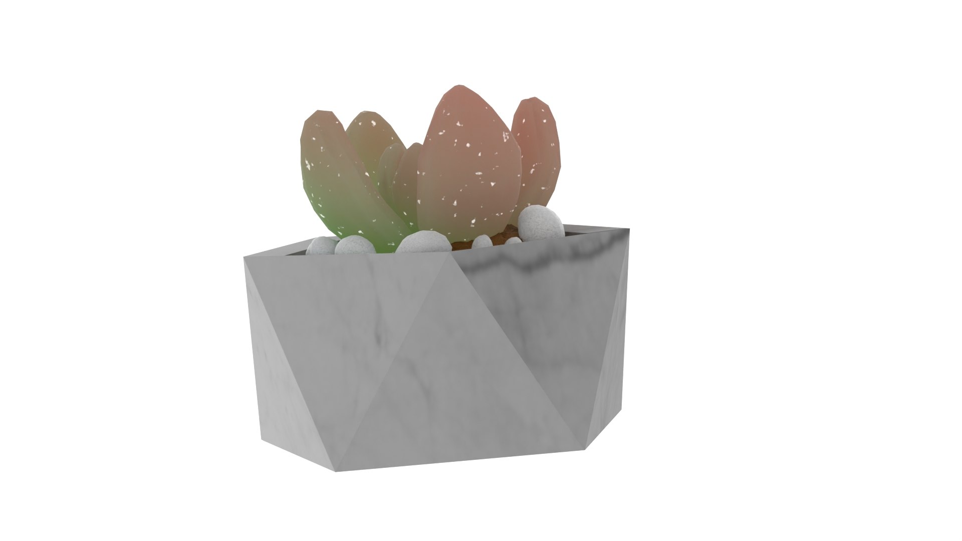 3D Model Succulent - TurboSquid 1966887