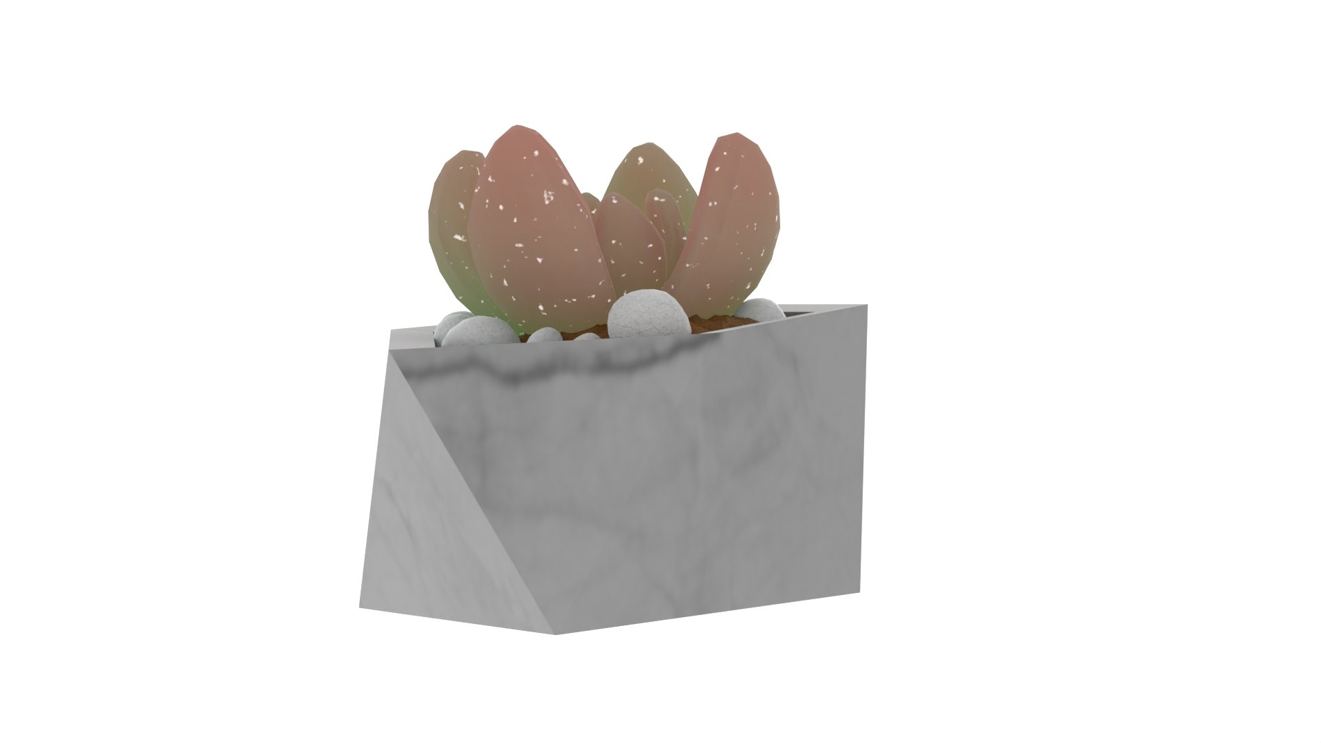 3D Model Succulent - TurboSquid 1966887
