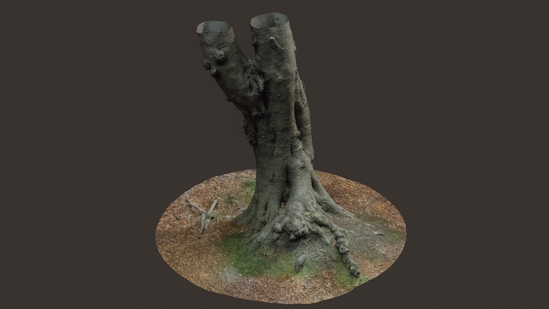 3D Oak Tree Nature - TurboSquid 1628653