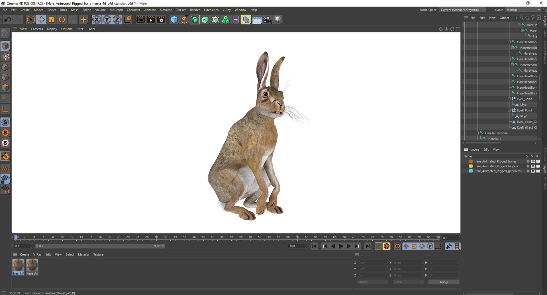 Hare Animated Rigged For Cinema 4D 3D Model - TurboSquid 2270204